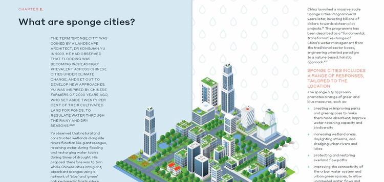 Sponge Cities: Can they help us survive more intense rainfall? | New Zealand Institute of ...