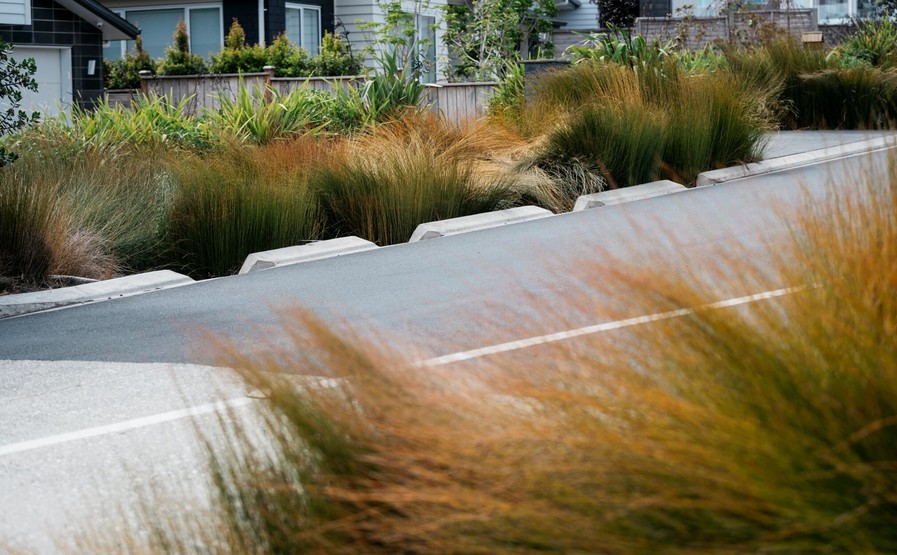 Boffa Miskell | New Zealand Institute of Landscape Architects Tuia Pito Ora