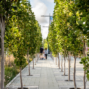 Jasmax | New Zealand Institute of Landscape Architects Tuia Pito Ora