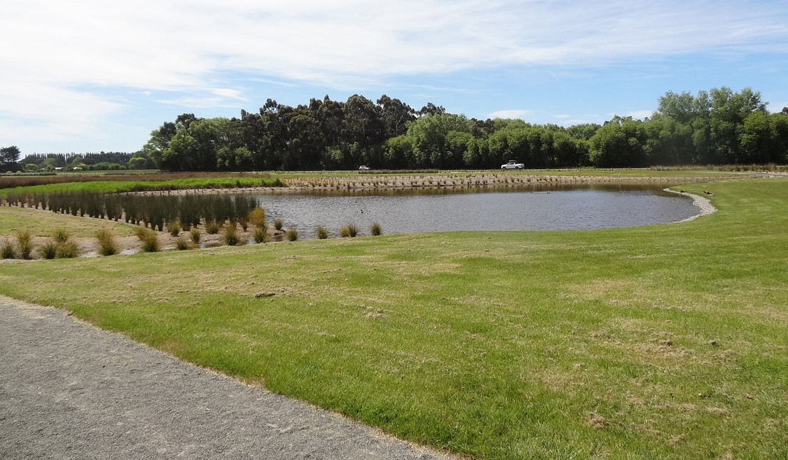 The return of the wetlands | New Zealand Institute of Landscape ...