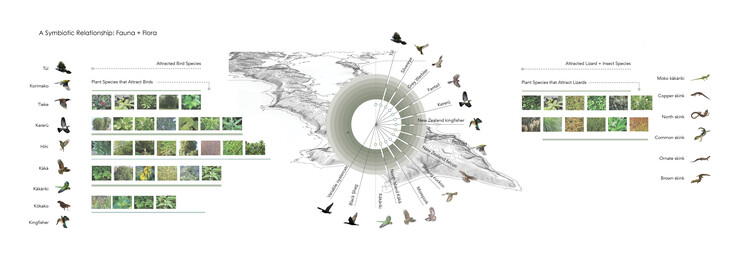 Envisioning Predator Free Miramar | New Zealand Institute of Landscape ...