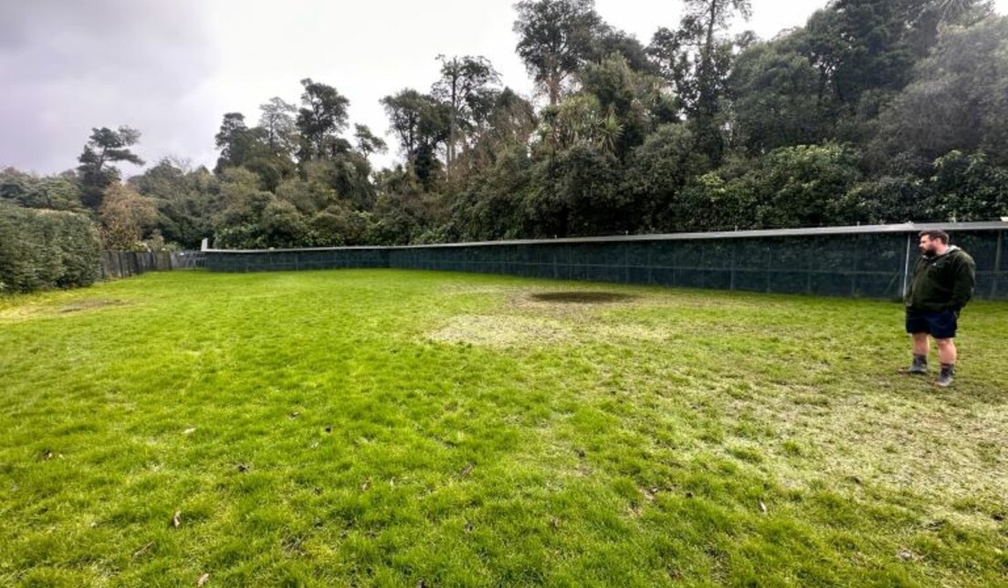 Natural Urban Forests | New Zealand Institute of Landscape Architects ...