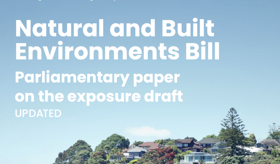 Natural and Built Environment Bill: NZILA submission | New Zealand ...