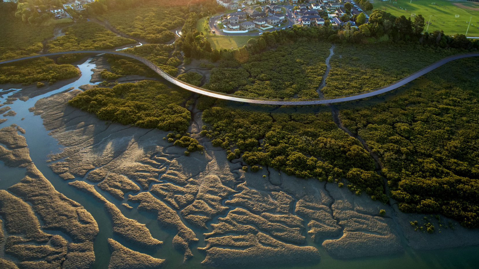 Te Whau Pathway | New Zealand Institute of Landscape Architects Tuia Pito Ora