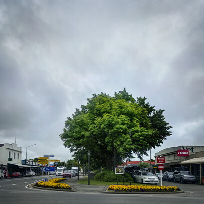Envisioning Predator Free Miramar | New Zealand Institute of Landscape ...