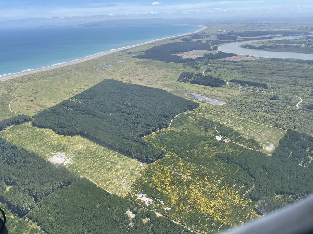 Sandy Point Domain Masterplan | New Zealand Institute of Landscape ...