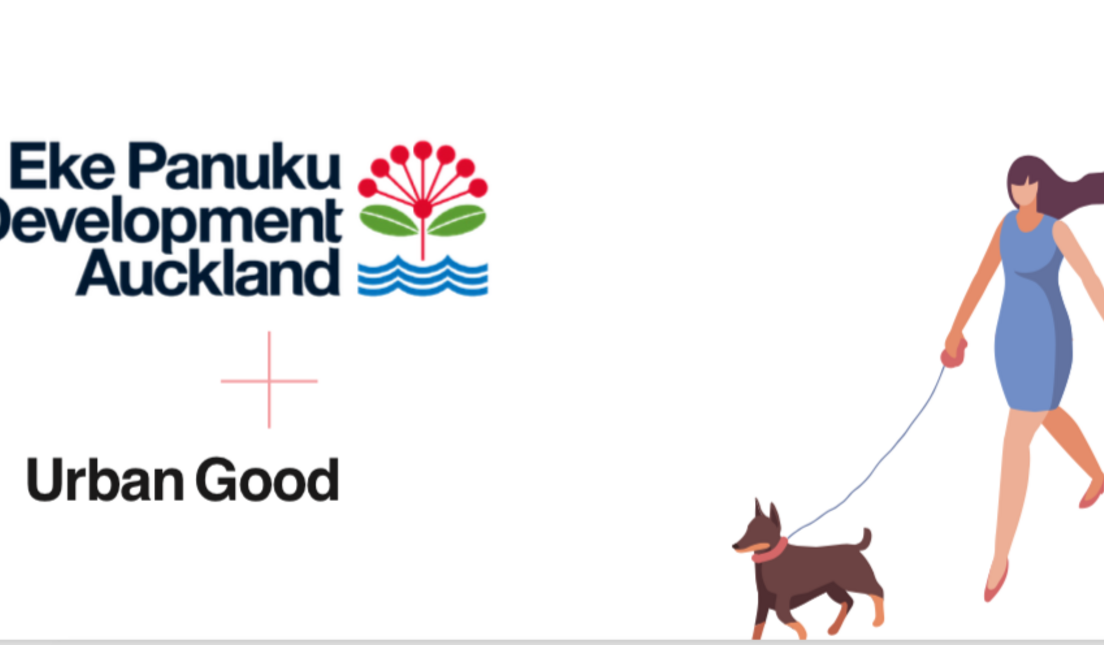 Public Life Survey for Eke Panuku | New Zealand Institute of Landscape ...